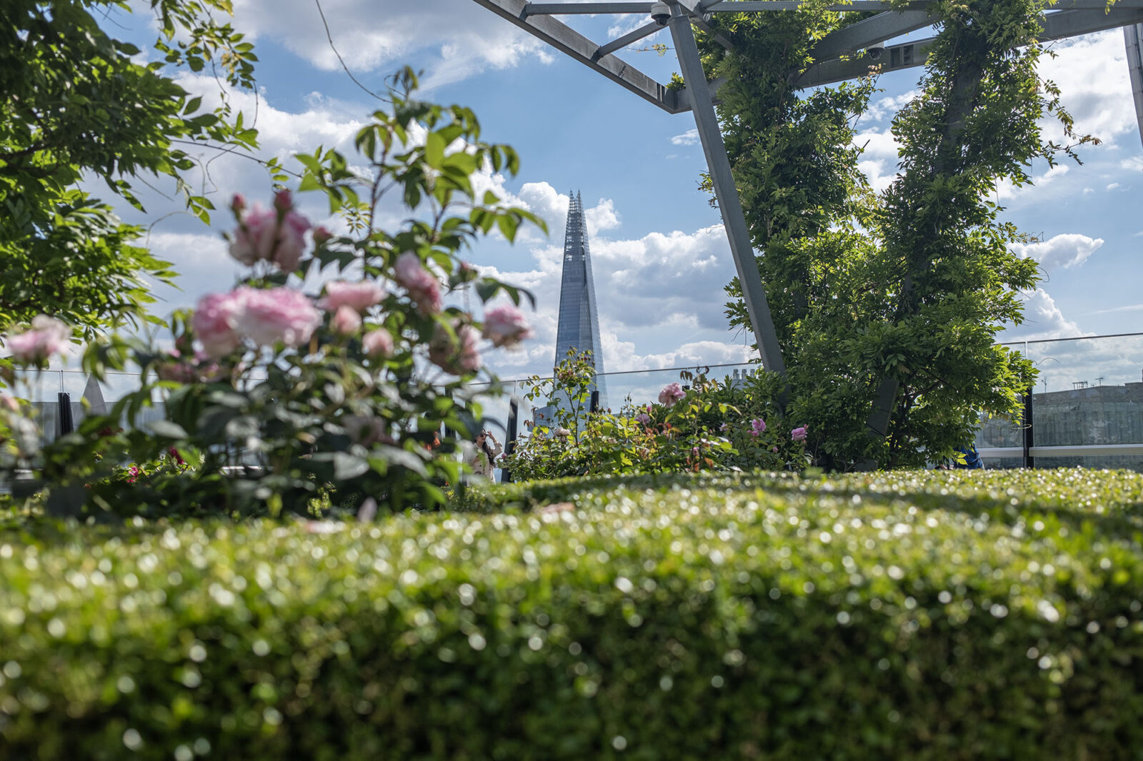 Visiting the Garden at 120 with children: everything you need to know ...
