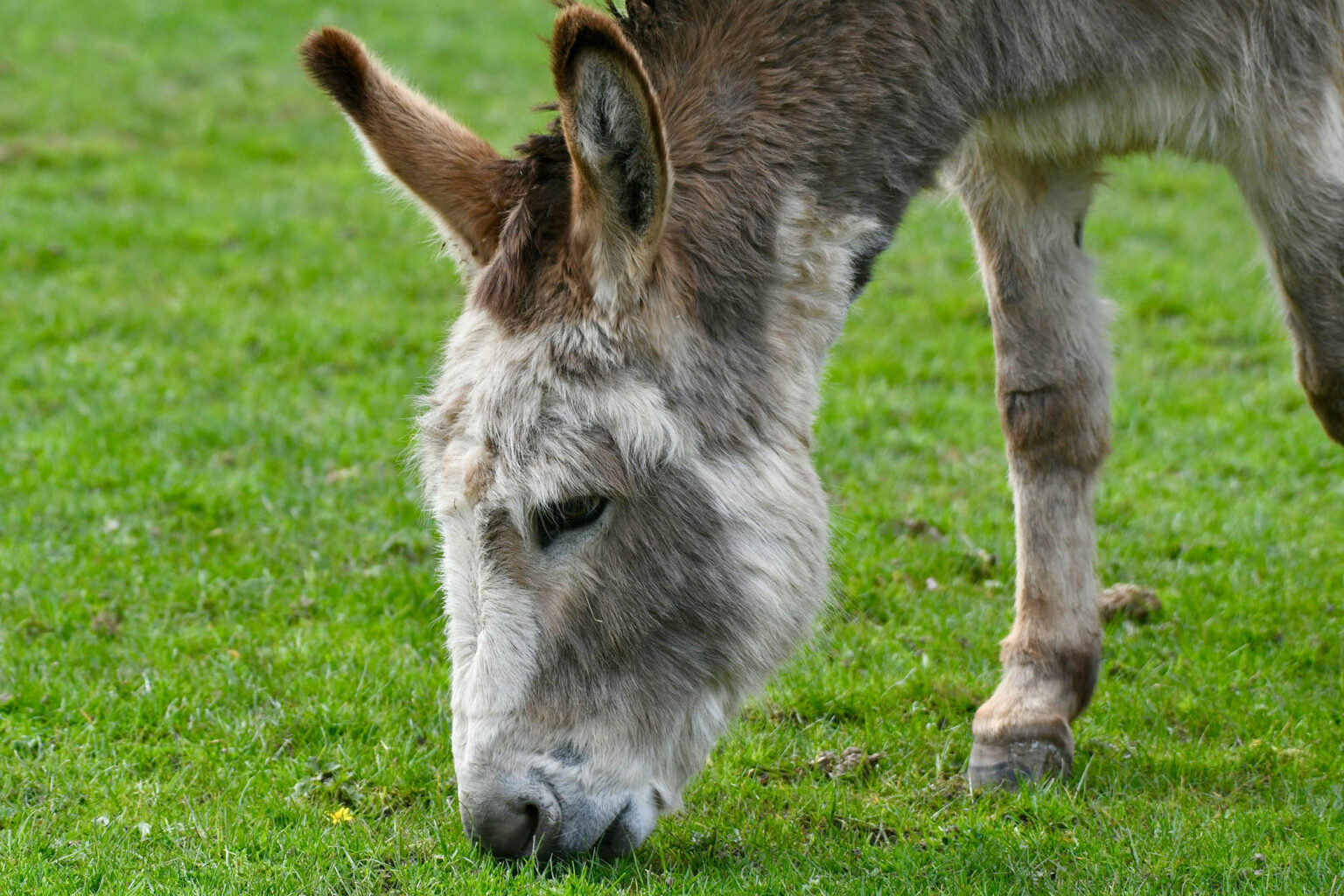 What to do with kids in London: Shoreditch and Spitalfields - London ...