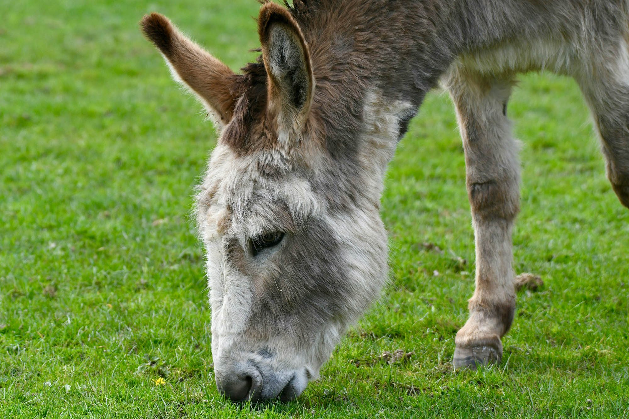 What to do with kids in London: Shoreditch and Spitalfields - London ...