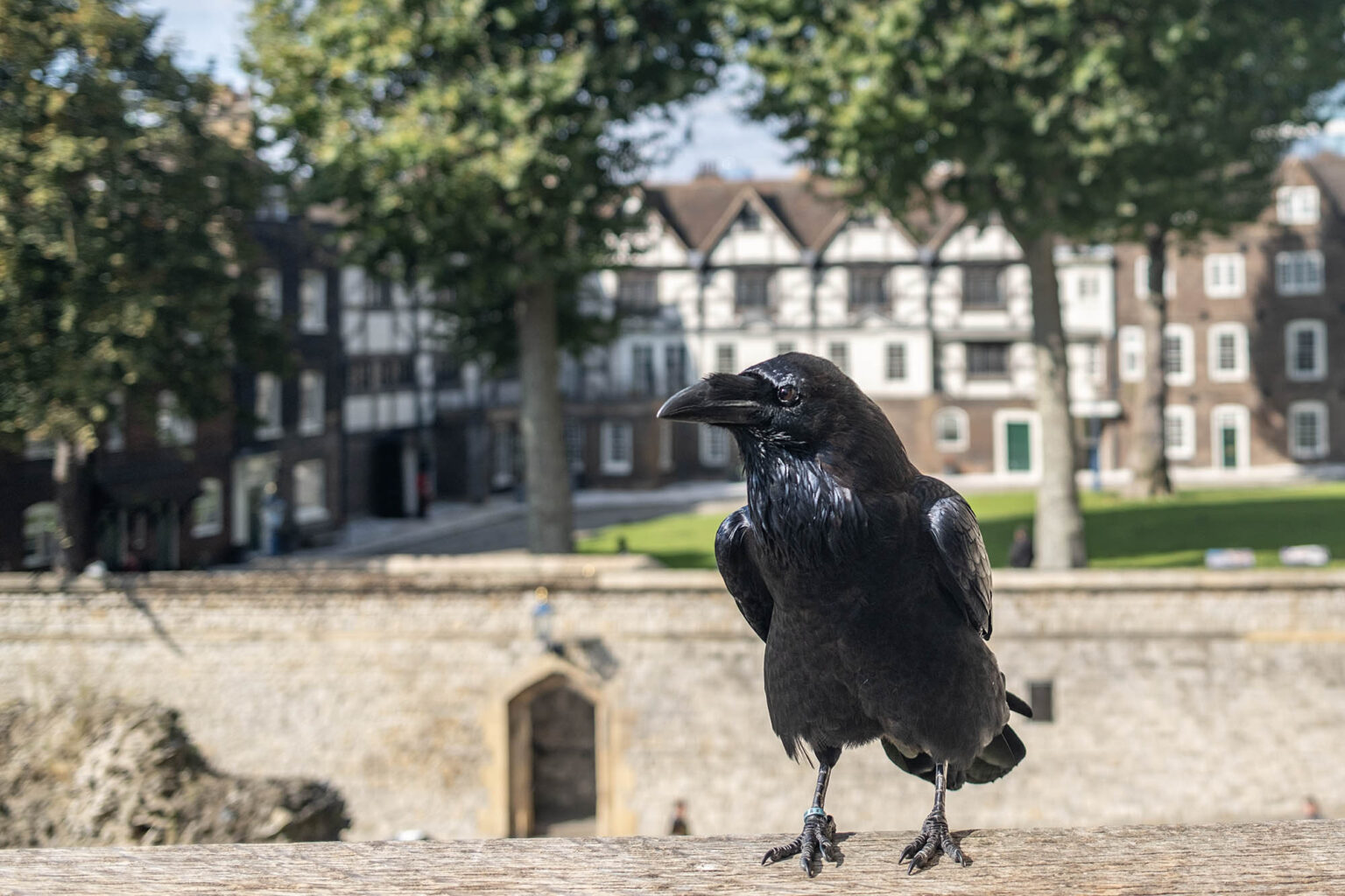 Visiting the Tower of London with children: everything you need to know ...