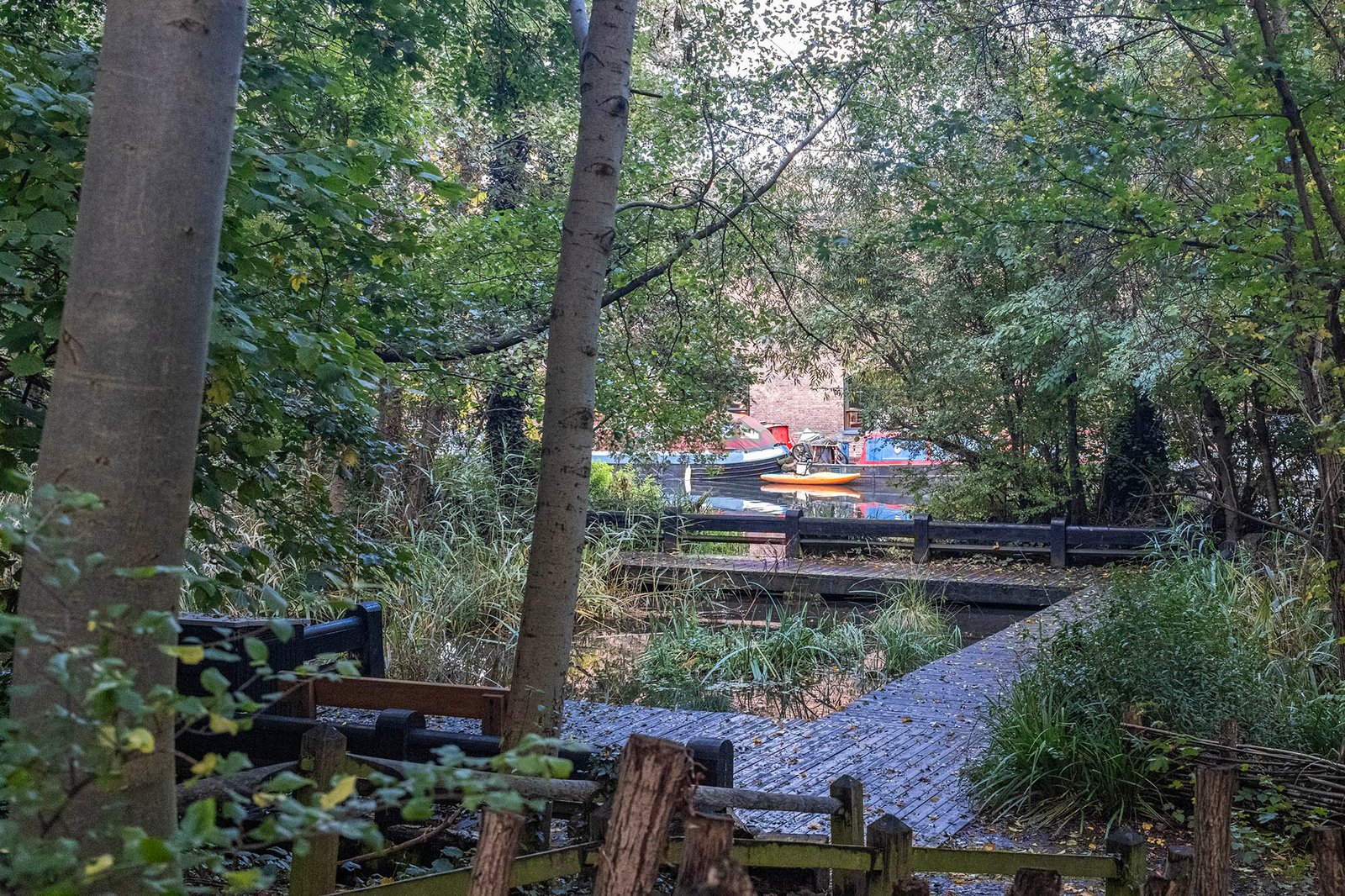 Visiting Camley Street Natural Park with children: everything you need ...