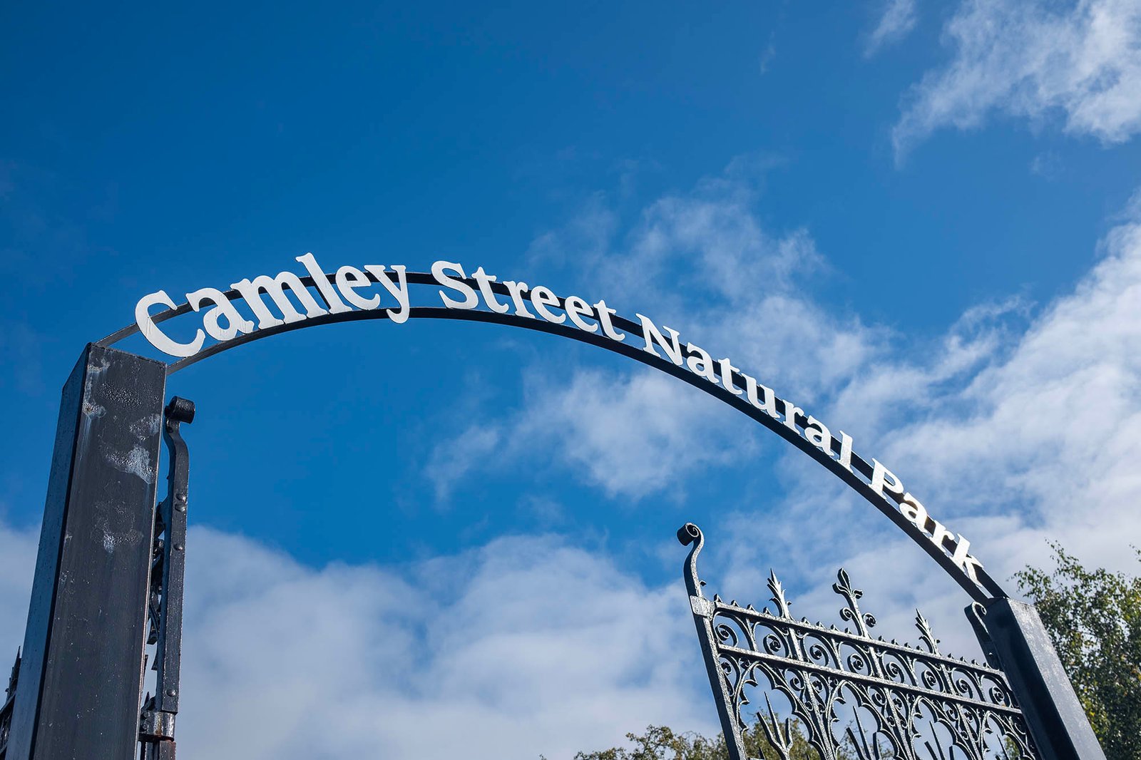 Visiting Camley Street Natural Park with children: everything you need ...
