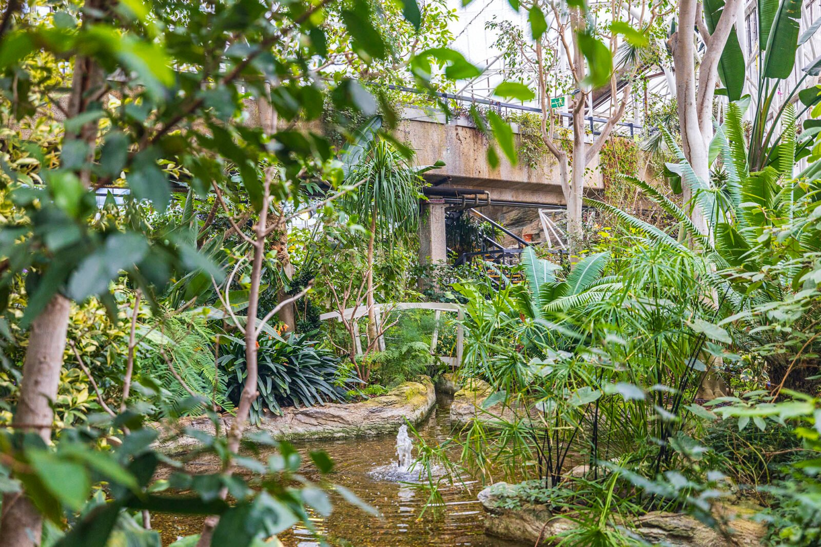 Visiting the Barbican Conservatory with children: everything you need ...