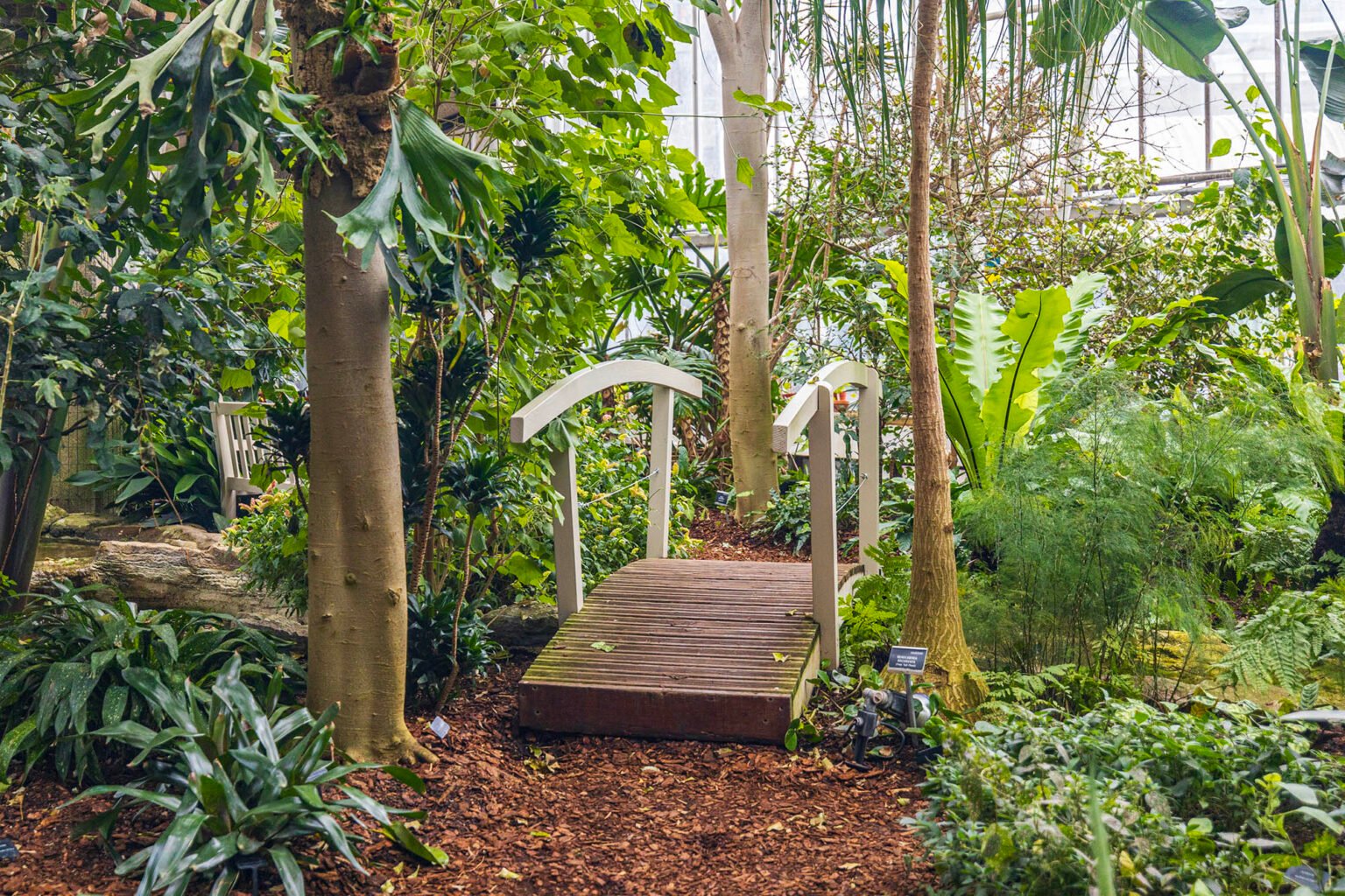 Visiting the Barbican Conservatory with children: everything you need ...