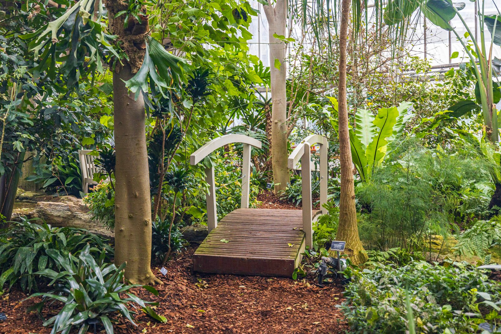 Visiting the Barbican Conservatory with children: everything you need ...