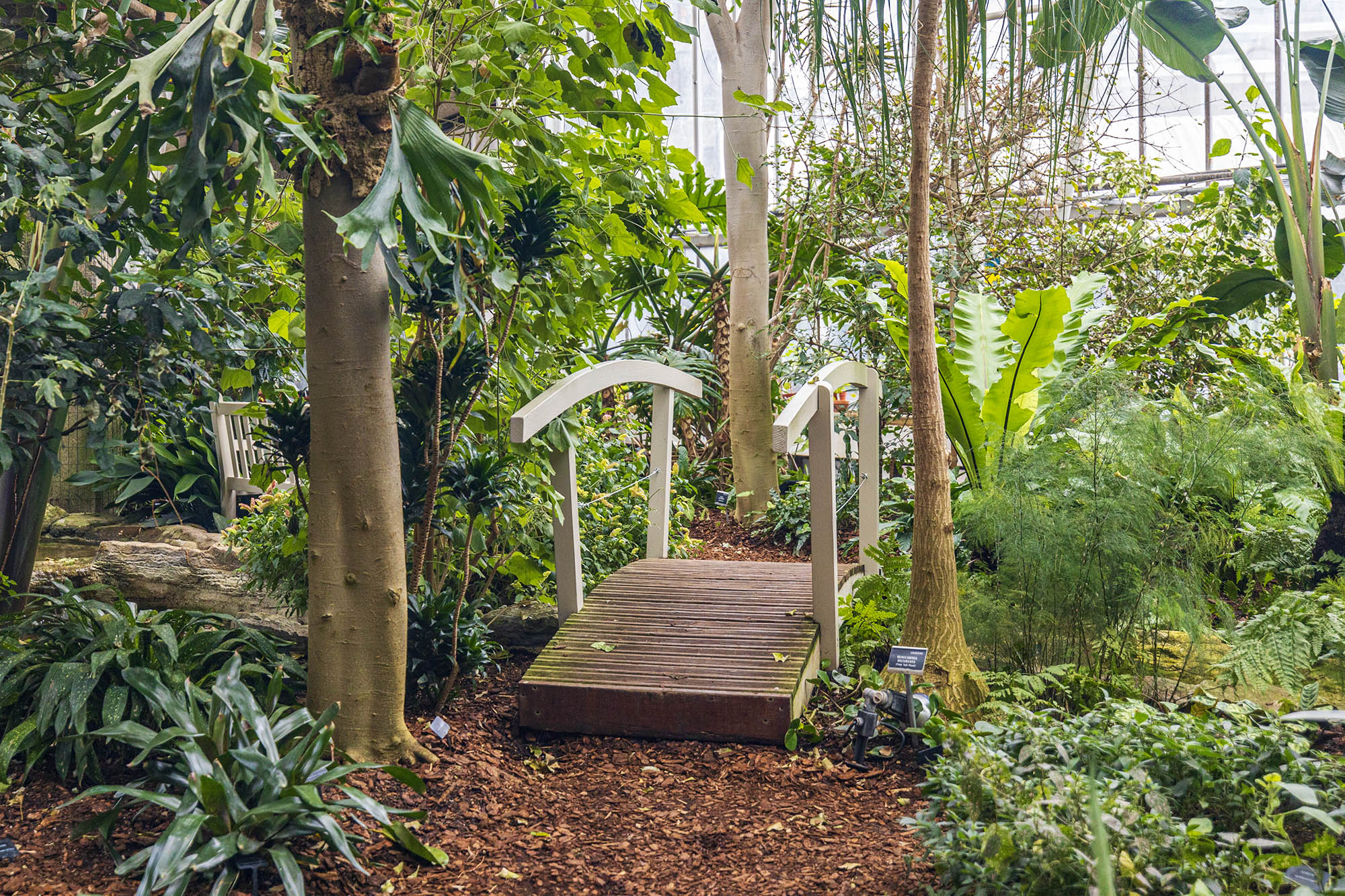 Visiting the Barbican Conservatory with children: everything you need ...