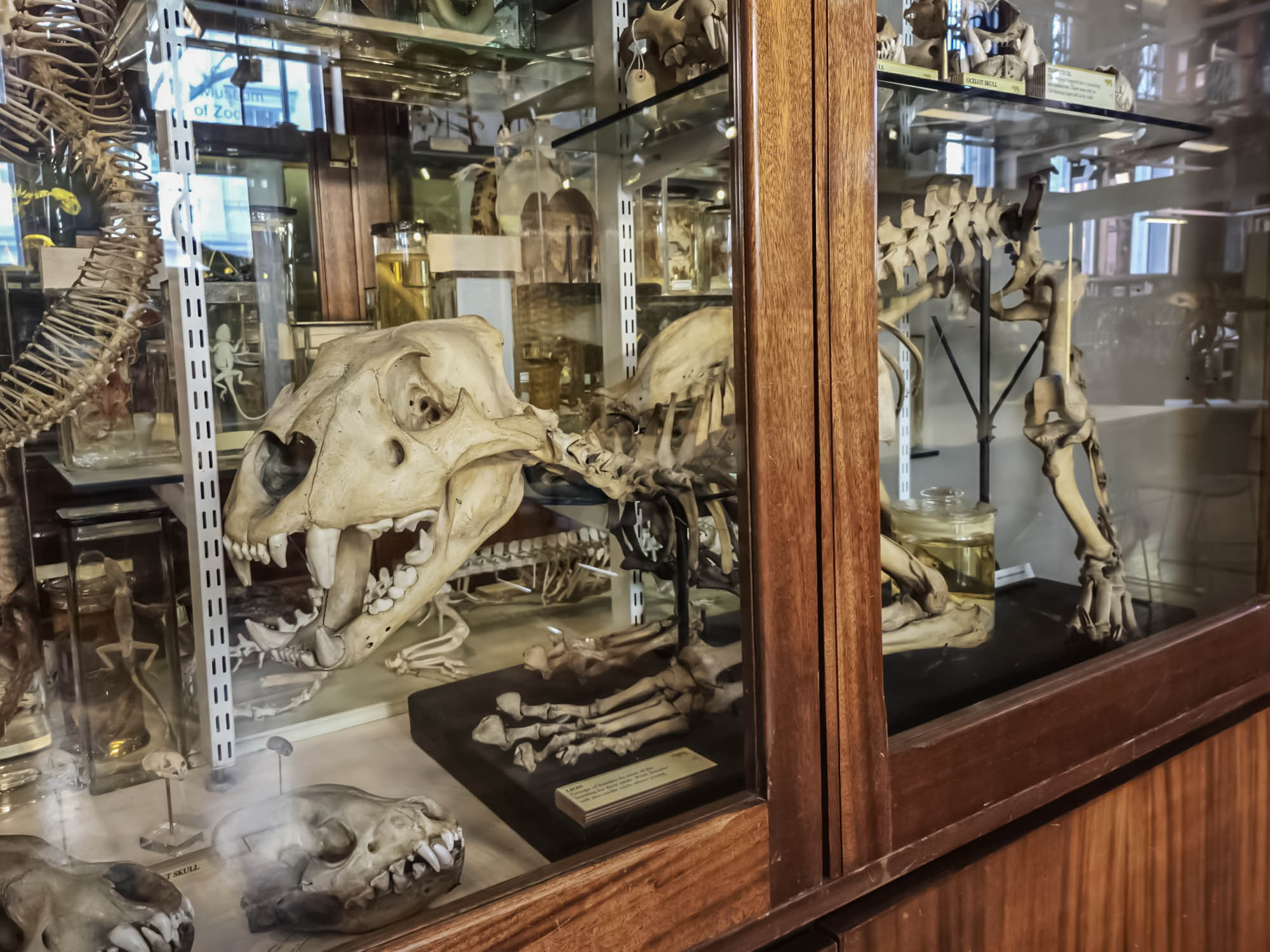 Visiting the Petrie Museum of Egyptian Archaeology with children ...